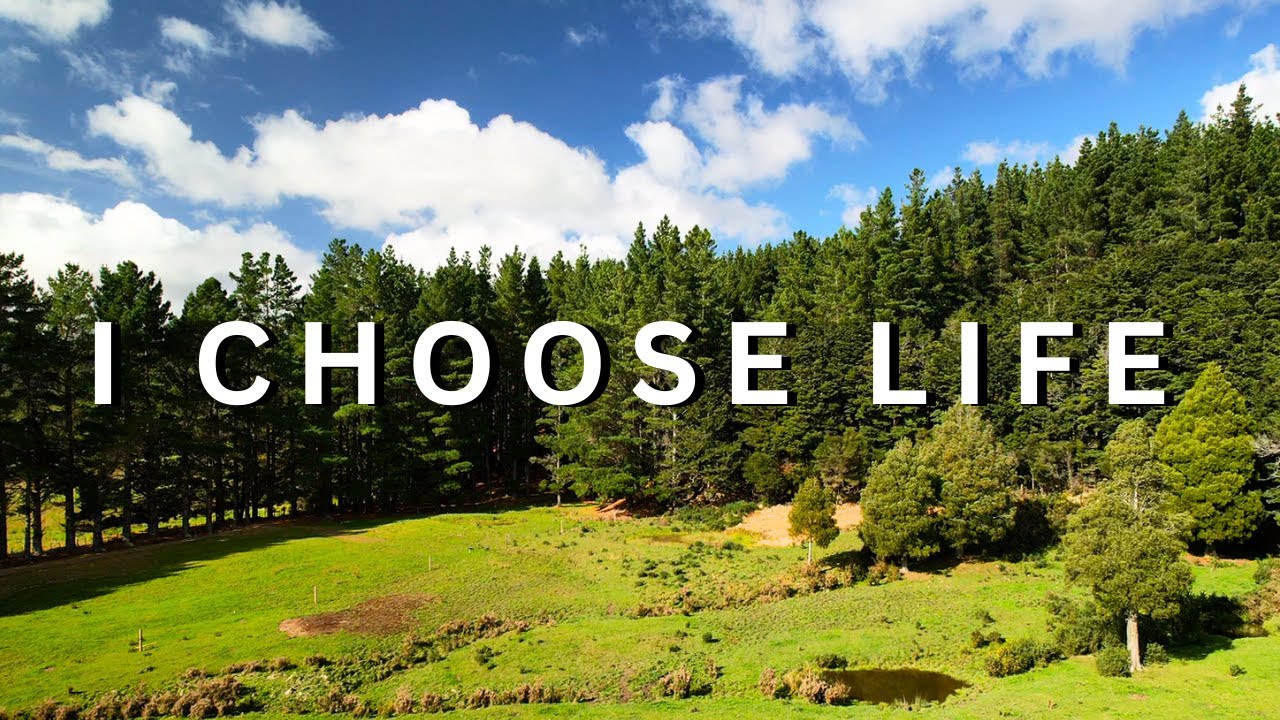 Living off Grid in New Zealand - THE EMPIRE